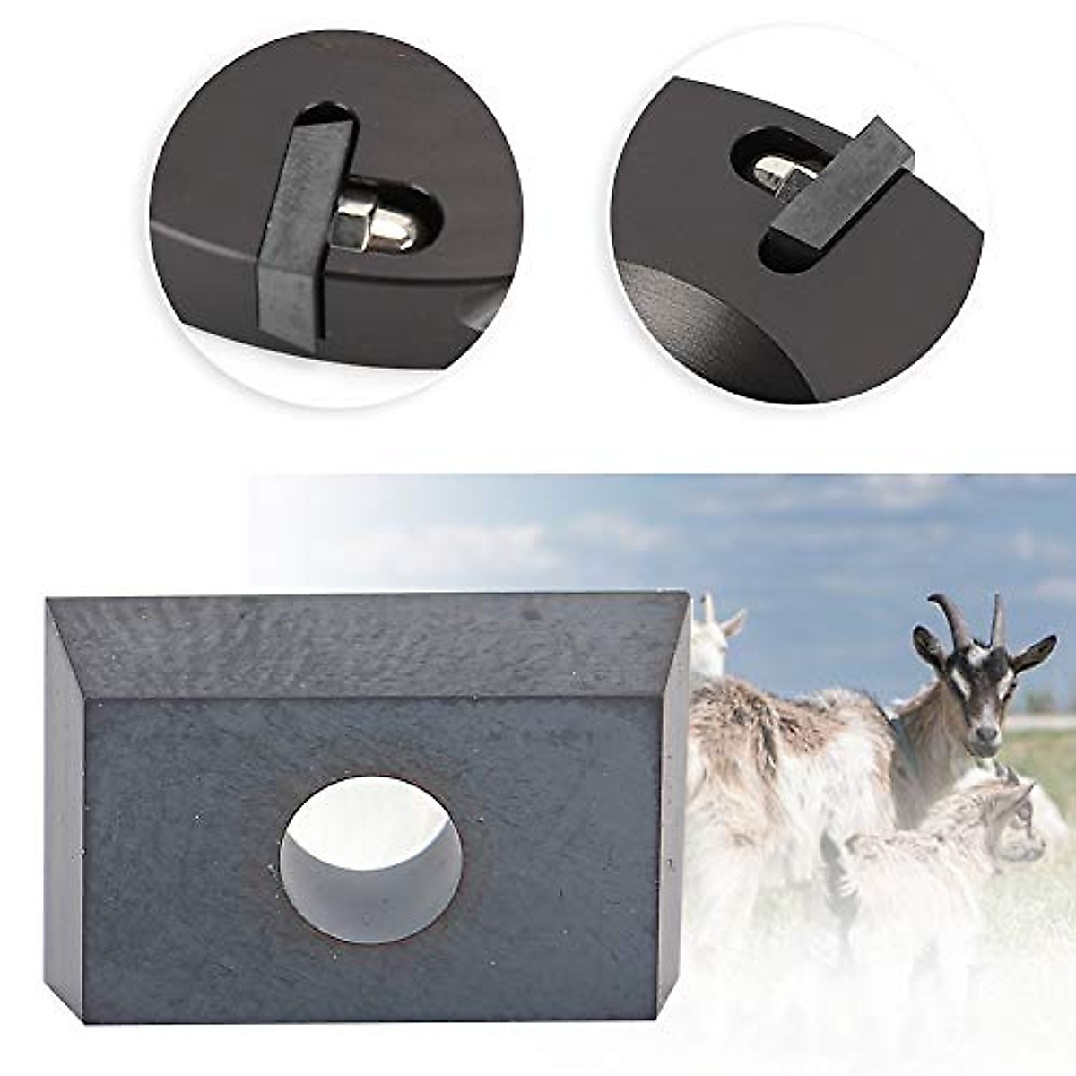 Hoof Cutter Disc Metal Accessory Livestock Sheep Cattle Horses Hoof Trimming Disc Plate Tool (Metal)