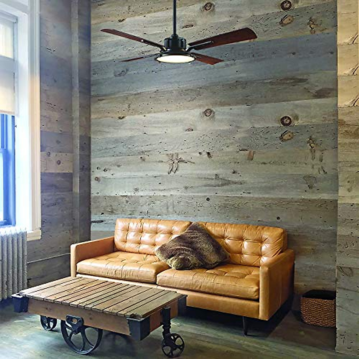 Modern Forms Fans FR-W1818-56L-OB/DW Restoration 56``Ceiling Fan from Nautilus collection in Bronze/Dark finish,