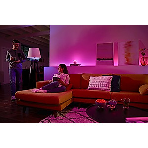 Philips Hue Go Connector LED Smart Portable Light White and Color Ambiance NA Watt Equivalence