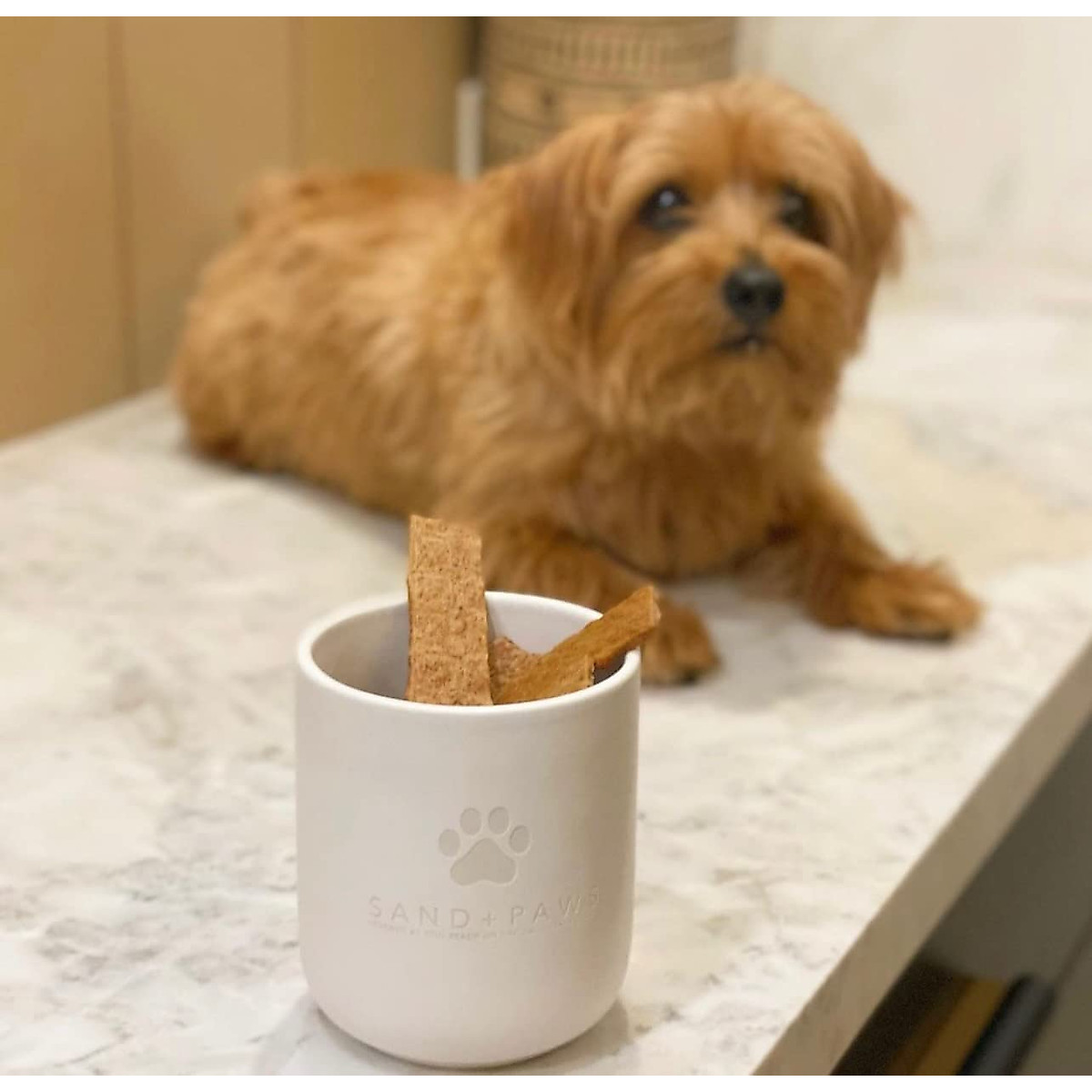 Sand + Paws Scented Candle - Vanilla Sandalwood –Luxurious Air Freshening Jar Candles Neutralize pet Odors and Enhance Home décor – 100% Cotton Lead-Free Wicks - 12 oz