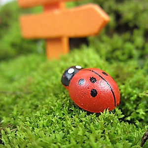 Mini Ladybugs, 100PCS Self-Adhesive Ladybugs Wooden Ladybug Shaped Stickers