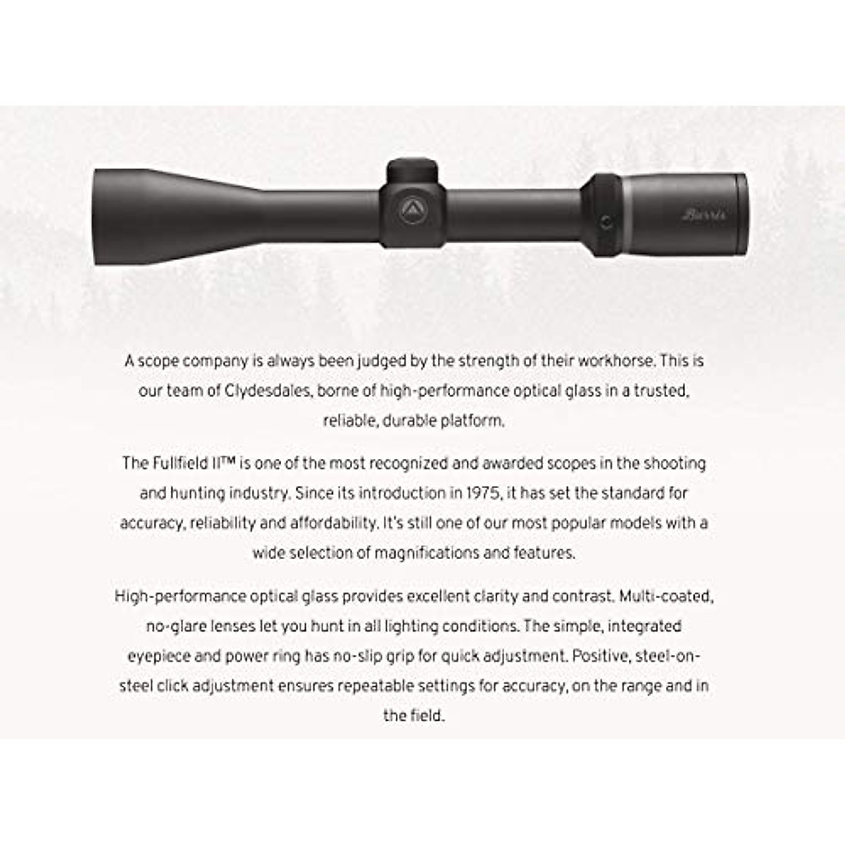 BURRIS FullField II 3-9x40 Scope, Ballistic Plex Reticle, Matte Black (200162)