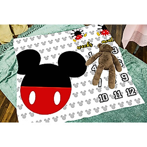 LYLYCTY Baby Monthly Milestone Blanket for 1 to 12 Months Baby, Cartoon Mouse Blanket for Baby Pictures Personalized, Includes Wreath and Frame 48"x40" BTZYLY38