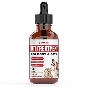 Dog UTI Treatment | Cat UTI Medicine | Cat UTI Remedy | Cranberry Supplement for Dogs | Pumpkin for Cats | Dog UTI | Cat UTI | Cranberry for Dogs | Cat Urinary Tract Infection Treatment | 1 fl oz