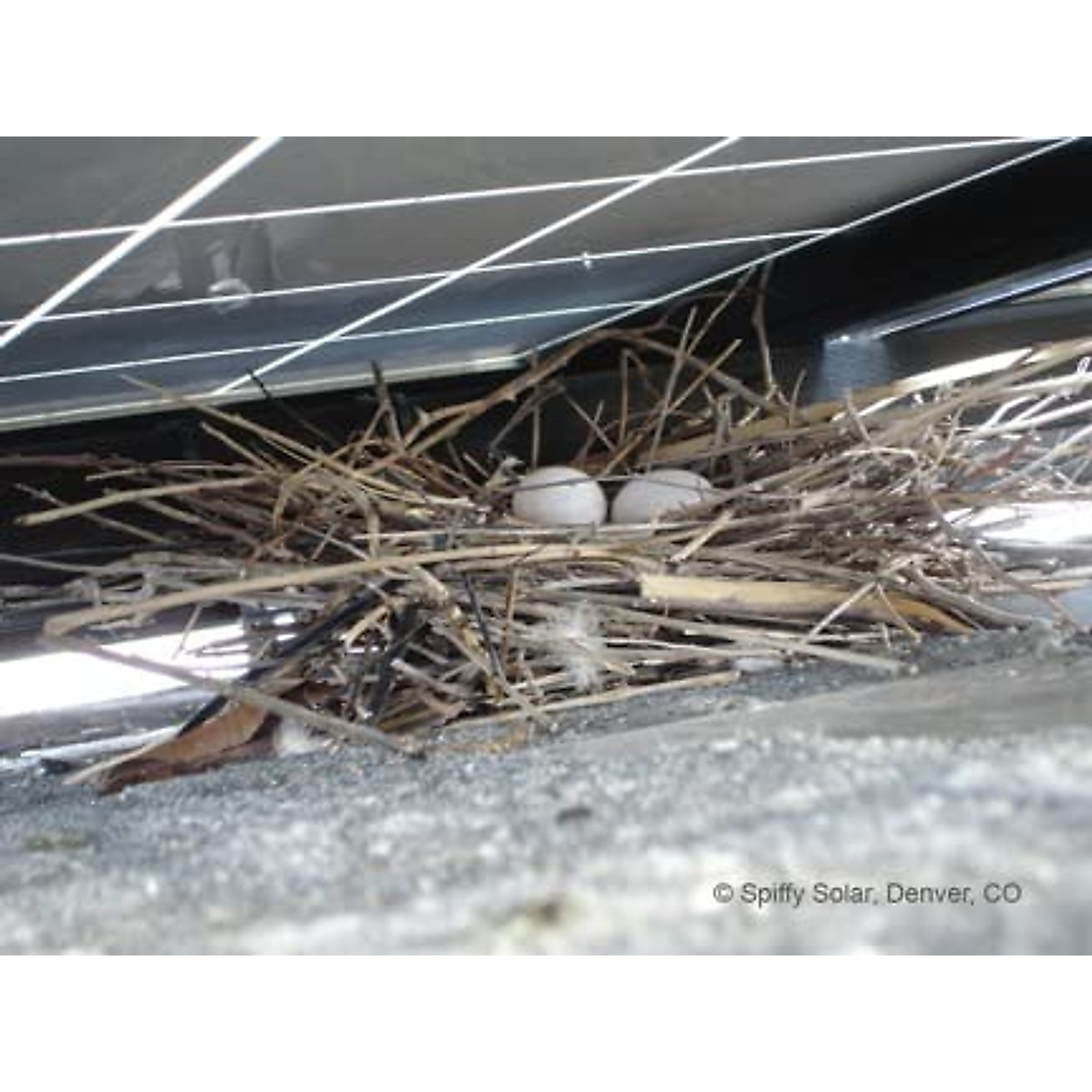 Squirrel Guard 8" Kit. 100 ft. PVC Coated Galvanized Steel Roll with 100 Aluminum Fasteners