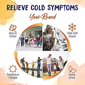 Boiron ColdCalm Tablets for Relief of Common Cold Symptoms Such as Sneezing, Runny Nose, Sore Throat, and Nasal Congestion - Non-Drowsy - 120 Count (2 Pack of 60)