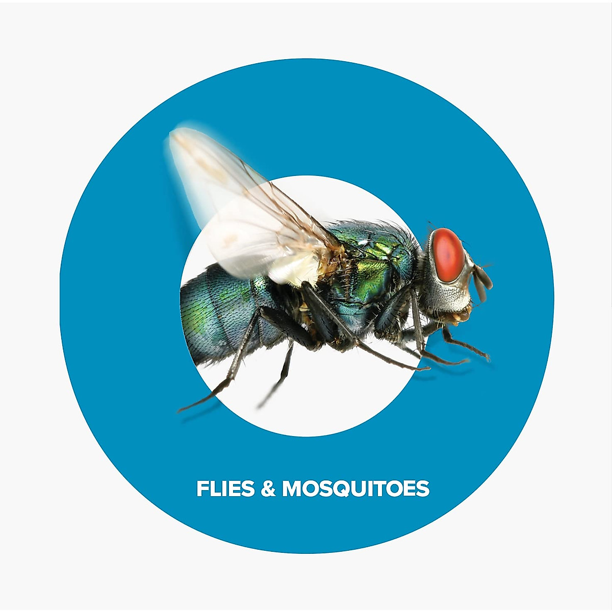 BOP Fly and Mosquito Killer, 16.5 oz, Easy to Use Pest Control Spray, Kills Bugs On Contact and Keeps Your Home Insect Free, Indoor/Outdoor Use for Quick Results