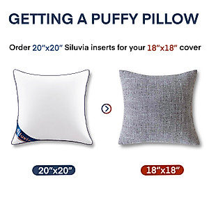 Siluvia 20"x20" Pillow Inserts Set of 2 Decorative 20" Pillow Inserts-Square Interior Sofa Throw Pillow Inserts Decorative White Pillow Insert Pair Couch Pillow (2, 20"x20" ,2Pack)