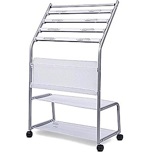 Storage Newspaper Baskets Books Newspaper Rack Information Rack Office Display Rack Floor Countertop Exhibition Supplies (Color : Silver, Size : 6535105cm)
