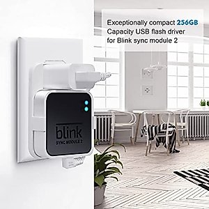 256GB Blink USB Flash Drive for Local Video Storage with The Blink Sync Module 2 Mount,Save Space Easy Move Bracket for for Blink Outdoor Indoor Security Camera(Blink Sync Module 2 is NOT Included)