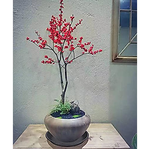 SAUCERHOME Plant Saucer 16 inch, 4 Pack 17 inch (16.8") Plastic Large Flower Planter Plant Pot Saucers and Drip Tray for Indoors Outdoors, Thick Heavy Sturdy Durable Plant Plate Water Catcher (Black)