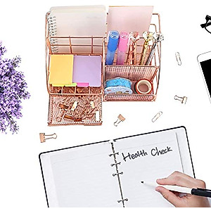 Rose Gold Desk Organizer,Mesh Pen Holder and Pencil Holder, Small Cute Office Supply and Gift for Women