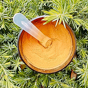 Homescape World Stride by Helluva Dog — Joint Support Meal Topper for Active Sporting Dogs — Green Lipped Mussel & Turmeric Powder for Mobility & Recovery 4oz