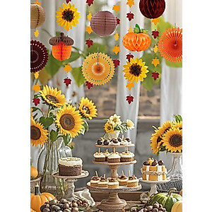 iwlorys Fall Party Decorations Set for Autumn Harvest Thanksgiving Forest Woodland Birthday Wild One Pumpkin Acorn Party Decor Baby Bridal Shower Paper Honeycomb Lanterns Maple Leaves Brown Burgundy