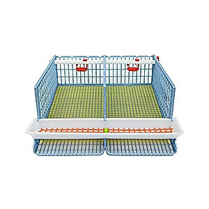 Quail Cage Two Compartment, The Patented Design, First in The World, Professional Quail Egg cage