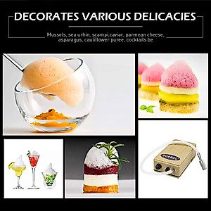 DUEBEL Molecular Gastronomy Foam Generator, Portable Foam Generating Kit (Powered by Dry Battery), Creative Chef Cooking Tool