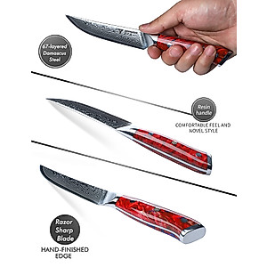 SANMUZUO Steak Knives Set of 4, Ultra Sharp Non Serrated Kitchen Steak Knife 5 Inch - Damascus Steel & Resin Handle - Xuan Series (Sunset Red)