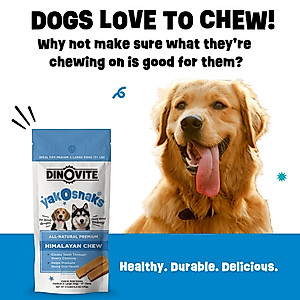 Dinovite YakoSnaks - Himalayan Yak Chews for Dogs - Long Lasting and Low Odor Yak Cheese Dog Chews (Medium/Large Dogs)