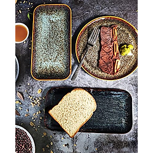 Jinsongdafa Ceramic Dinner Plates Set of 4, Main Dish for Steak, Bread, Risotto, Pasta, Salad, Microwave, Oven and Dishwasher Safe, Scratch Resistant