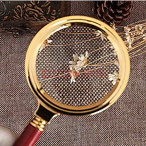 Magnifying Glass 10x Magnification Magnifier Handheld Magnifier for Science, Reading Book, Inspection