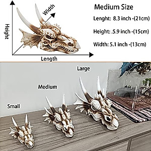 AzjioLi Aquarium and Fish-Tank Decorations Reptile-Hide Terrarium-Décor - Dragon Imitation Skull Model(Medium)