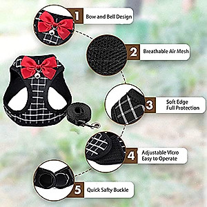 BLUWTE Cat Harness,Cat Harness and Leash, Breathable Dog Harness,Pet Harness,Adjustable Mesh Vest Harness for Puppy Cat Rabbit (Black, S)