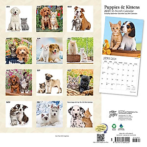 Puppies & Kittens | 2024 12 x 24 Inch Monthly Square Wall Calendar | Sticker Sheet | StarGifts | Animals Cute Kitten Pets