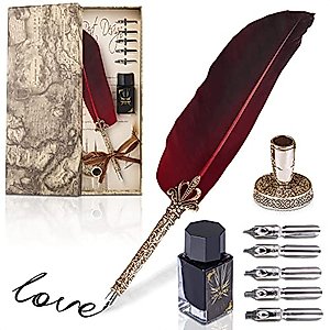 Feather Quill Pen Ink Set - Calligraphy Dip Pen Set Fountain Pen Ink Red Feather Pen Display Case with Inkwell and Stand - Quill Pen Set with 5 Stainless Steel Pen Nib Set for Writing Paper, Letter