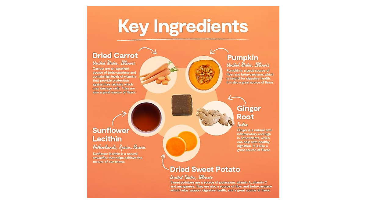 Open Farm Probiotic Chews for Dogs – Gut Health Support