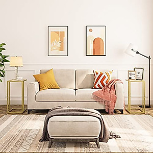 HOOBRO C Shaped End Table, Tempered Glass Snack Side Table with Metal Frame, TV Tray Table for Small Space, Sofa Couch and Bed, Modern Style, Gold GD03SF01G1