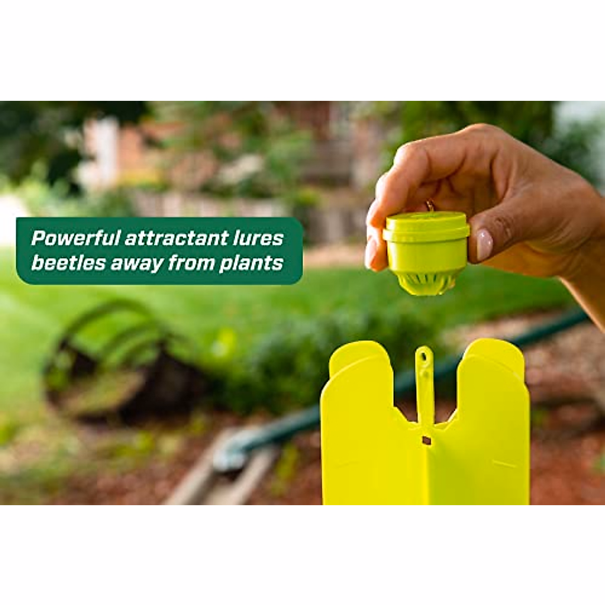 RESCUE! Japanese Beetle Trap – Reusable Bag - 3 Traps