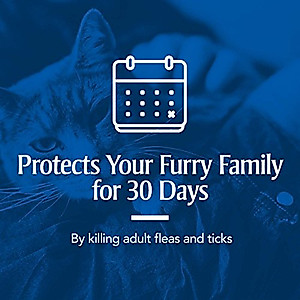 PetArmor for Cats, Flea & Tick Treatment for Cats (Over 1.5 Pounds), Includes 3 Month Supply of Topical Flea Treatments