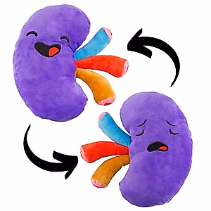 Attatoy Plush Kidney, Stuffed Body Organ Toy for Get Well Gift, Health Education and More