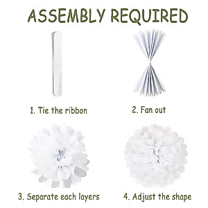 Hot Pink Tissue Paper Pom Poms Paper Flowers Hanging Decorations Pink Paper Flower Balls for Birthday Bachelorette Wedding Bridal Shower Party Decoration