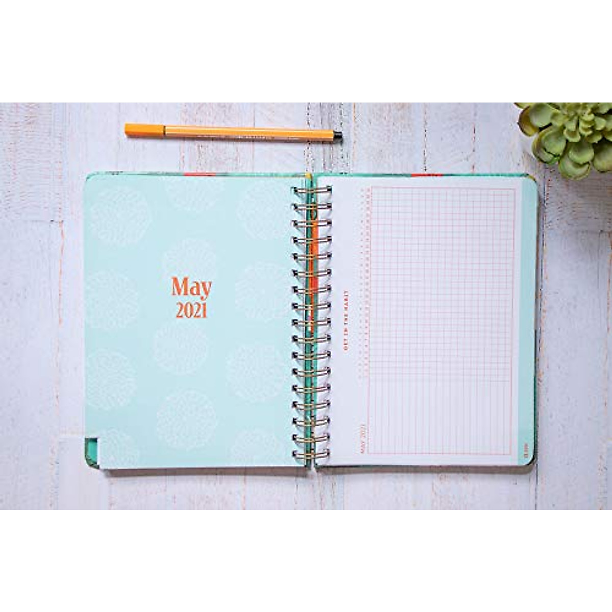 Posh: Deluxe Organizer 17-Month 2020-2021 Monthly/Weekly Planner Calendar: So Much Gratitude