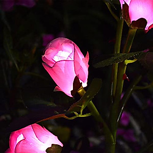 Upgraded 6 Rose Flowers Solar Garden Stake Lights, Outdoor Decorative Solar Flower Lights,Waterproof Solar Flower Stake Lights for Patio Yard Courtyard Pathway Cemetery Graveside (Pink)