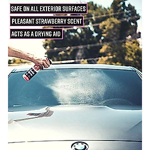 Adam's Detail Spray - Quick Waterless Detailer Spray For Car Detailing | Polisher Clay Bar & Car Wax Boosting Tech | Add Shine Gloss Depth Paint | Car Wash Kit & Dust Remover (Collection)