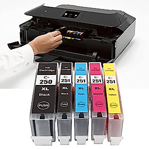 FTVOGUE 250‑251 Multi Colors Ink Cartridge Replacement Printer Inkjet Cartridges for PIXMA (BK BK C M Y 5 Colors)