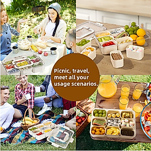 SHUCHNOYE 2 Pack Snackle Box Container 9-Compartment With Lid and Handle -Divided Serving Platters Perfect for Candy, Fruit, and Treats–Portable Snackle Box