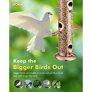 iBorn Metal Bird Feeders Brushed Copper Wild Bird Feeder for Outdoors Hanging All Metal Brushed Copper Finishing 14 Inch 6 Port(Seed is not Included)