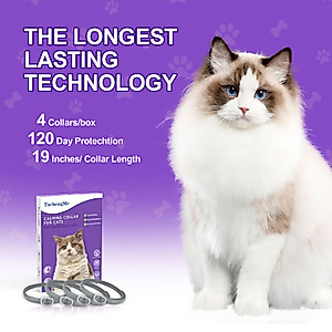 4 Pack Calming Collar for Cats, Cat Collars Efficient Relieve Reduce Anxiety Stress Collar, Cat Calming Collar Kitten Supplies Make Comfortable Relaxed, Lasting 60 Days, Grey