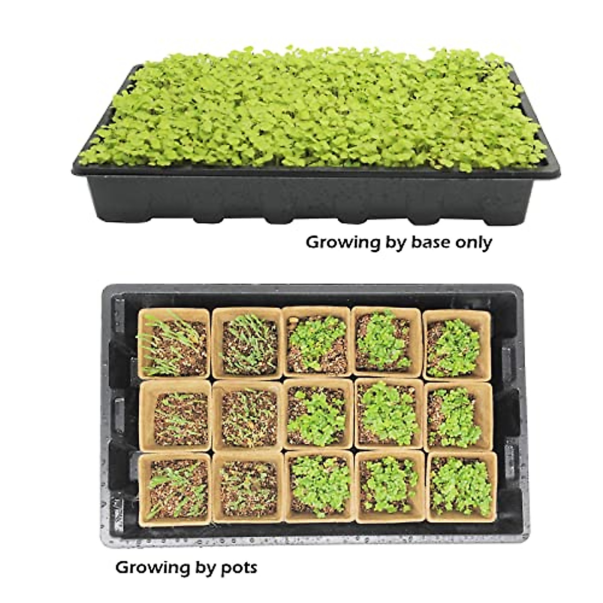 Seed Starter Kit with 100 Peat Pots for Seedlings Seed Starter Tray, Including 100 Square Biodegradable Seed Starter Pods, 5 Plastic Growing Trays & 20 Plant Labels