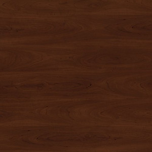 Bush Furniture Fairview L Shaped Desk in Antique Black