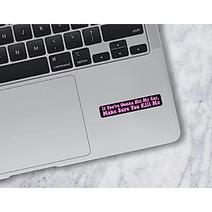 Miraki If You're Gonna Hit My Car Make Sure You Kill Me Sticker, Vehicle Accessories Sticker, Meme Stickers, Water Assitant Die-Cut Funny Decals for Laptop, Phone, Water Bottles, Kindle Sticker