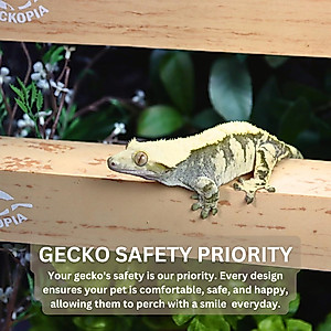 GECKOPIA Reptile Flex Bridge, 2-Pack | Reptile Bridge | Gecko Bridge | Gecko Ledge | Reptile Vine | Reptile Terrarium Decoration | Reptile Branch Alternative (Brown)