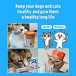 Labivet Probiotics for Dogs and Cats, Gut Health & Urinary Supplements Powder Probiotic Dog Supplement, 30 Count (Pack of 1)