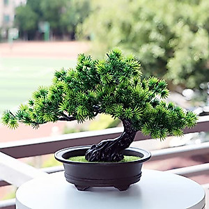 yoerm Fake Plants Plastic Artificial Bonsai Tree, Zen Garden Japanese Decor Bonsai for Home Office Desk Bedroom Farmhouse Room Decor, Tall 9.5"