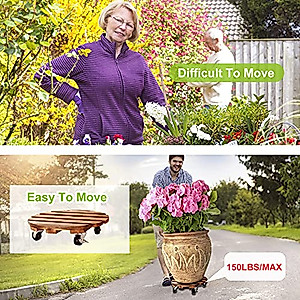 2 Pack Plant Caddy Wooden 12 Inch Plant Stand with Wheels Heavy Duty Rolling Plant Stand Round Plant Dolly Rollers Cart with Metal Lockable Casters for Outdoor/Indoor Large Plant Pot/Flower Pot/Patio