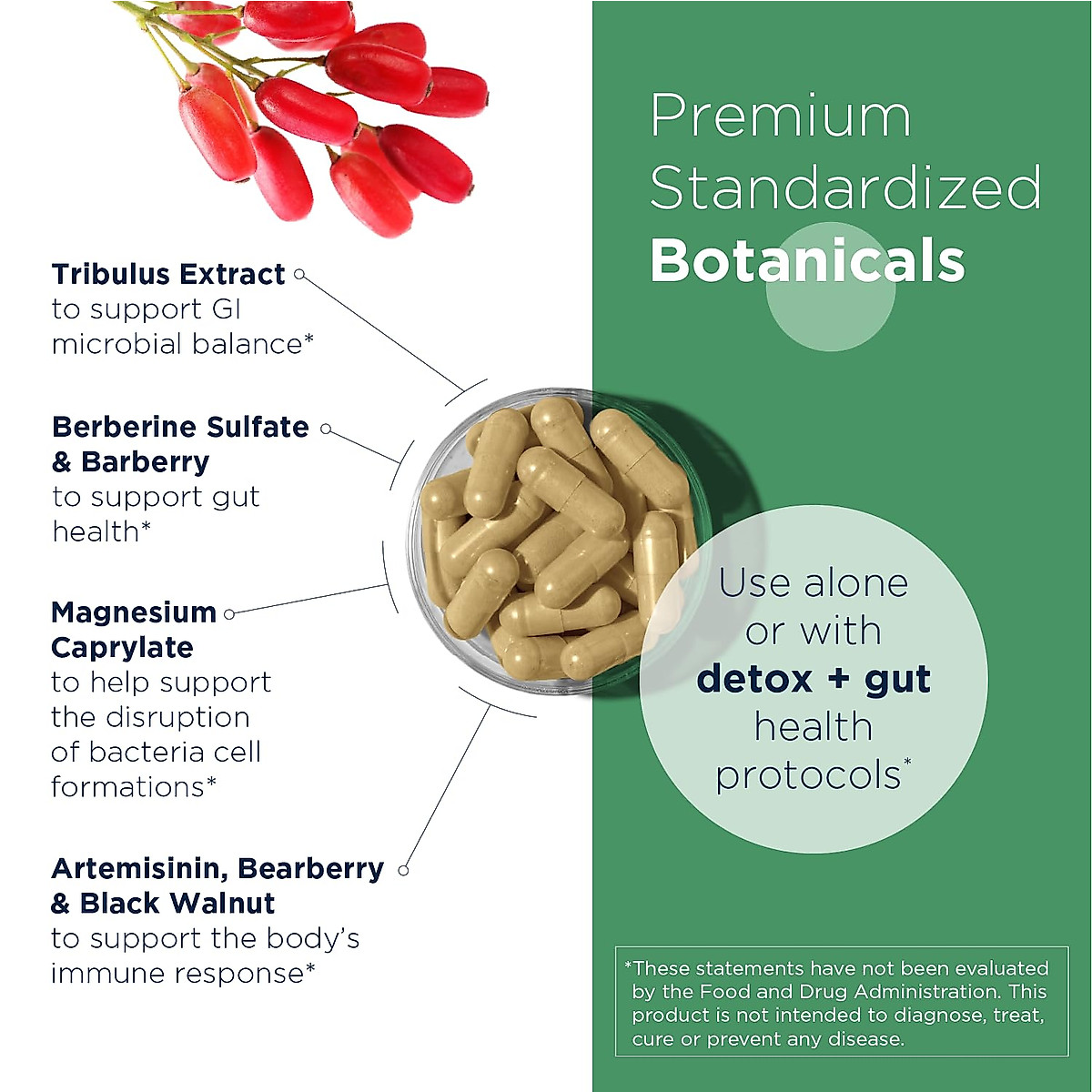 Designs for Health GI Microb-X - Botanical Gut Support, Cleanse + Detox Supplement with Tribulus, Berberine + Barberry Extract - Vegetarian + Non-GMO (120 Capsules)