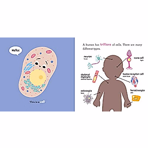 Baby Biochemist: DNA: Discover the Amazing Science Behind Your Body's Molecular Instructions! (Human Body Books, Science Gifts, Medical Books for Kids) (Baby University)